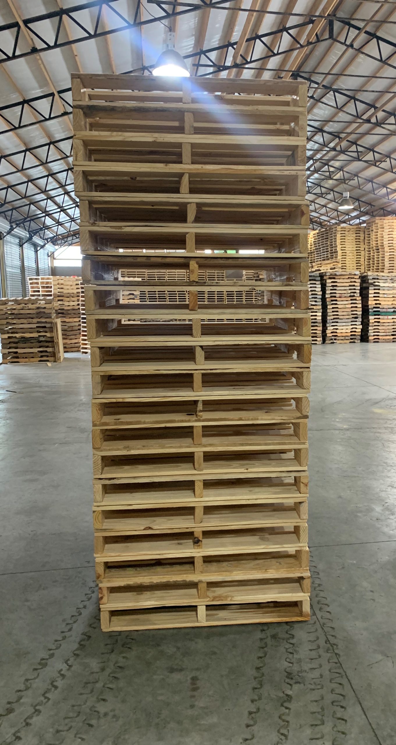 Home - Southeastern Shipping Supplies, LLC